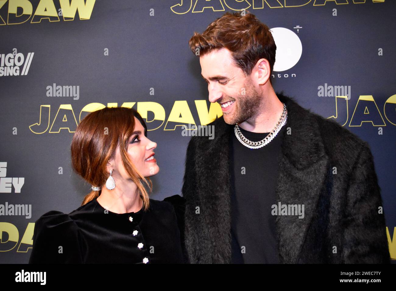 Uk premiere of jackdaw hi-res stock photography and images - Alamy