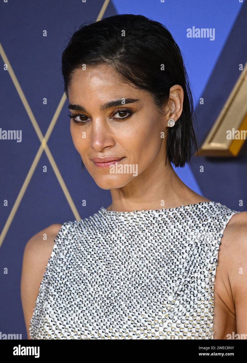 London, UK. January 24th, 2024. Sofia Boutella arriving at the Argylle ...