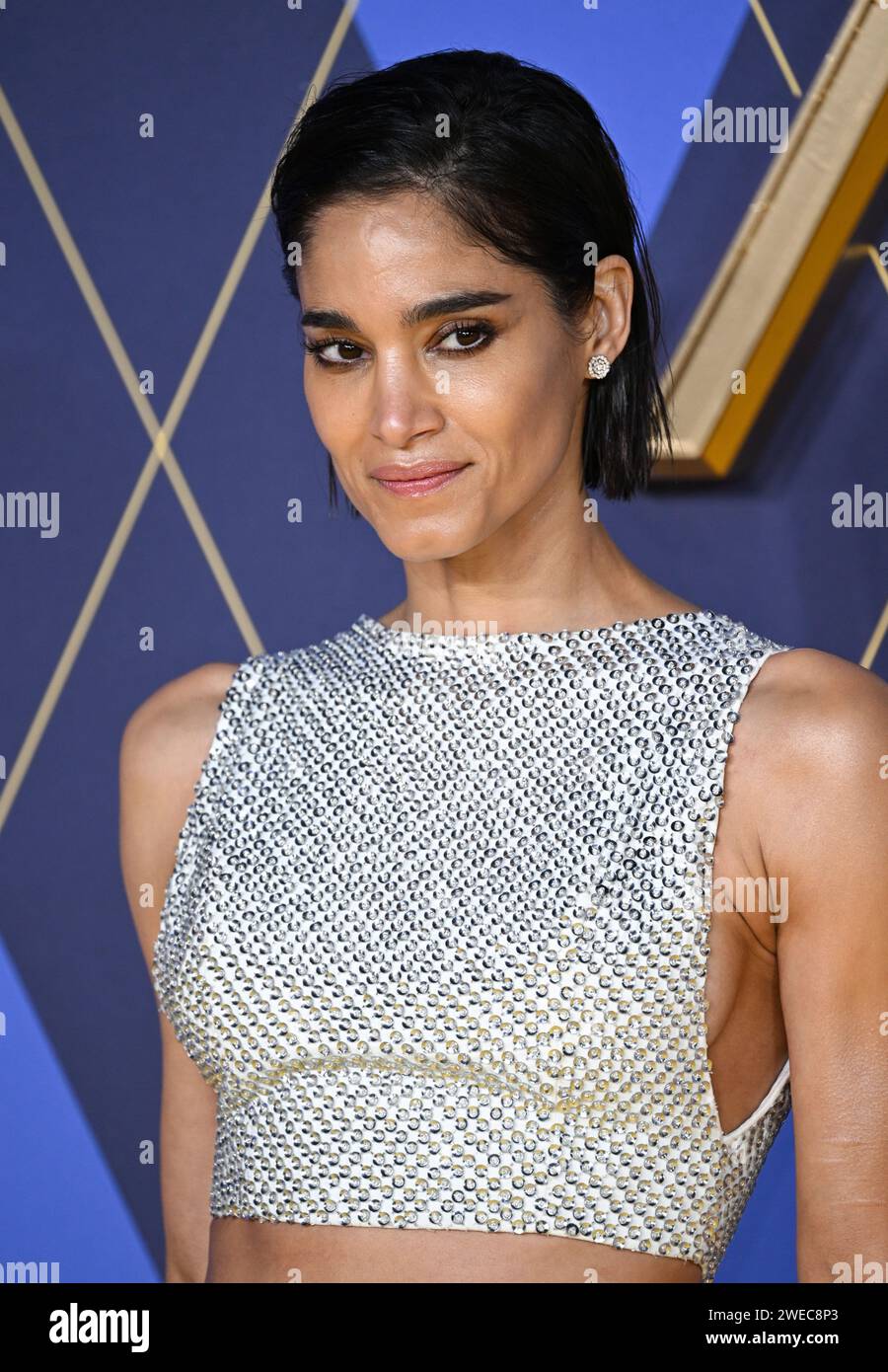 London, UK. January 24th, 2024. Sofia Boutella arriving at the Argylle ...