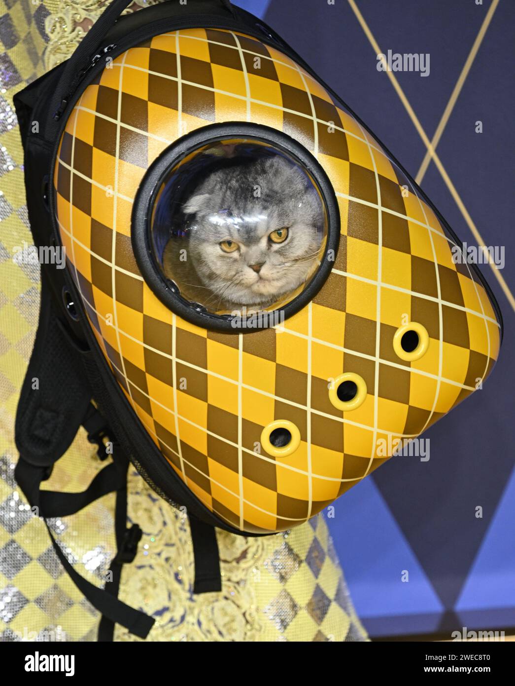 London, UK. January 24th, 2024. Claudia Schiffer and Chip the cat ...