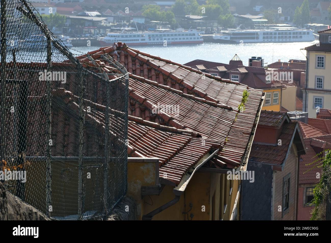 Step into history's embrace with the captivating charm of this ...