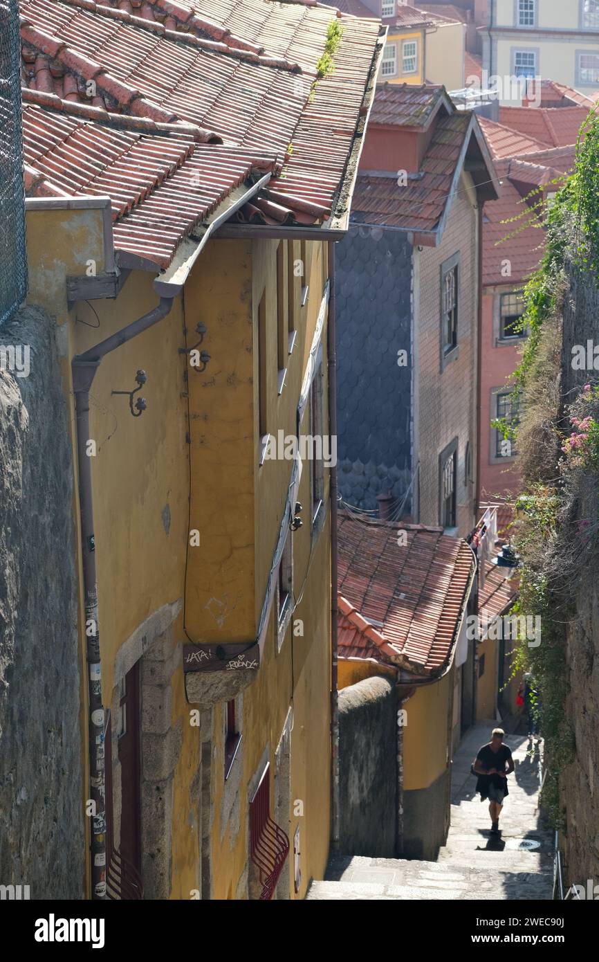 Step into history's embrace with the captivating charm of this ...