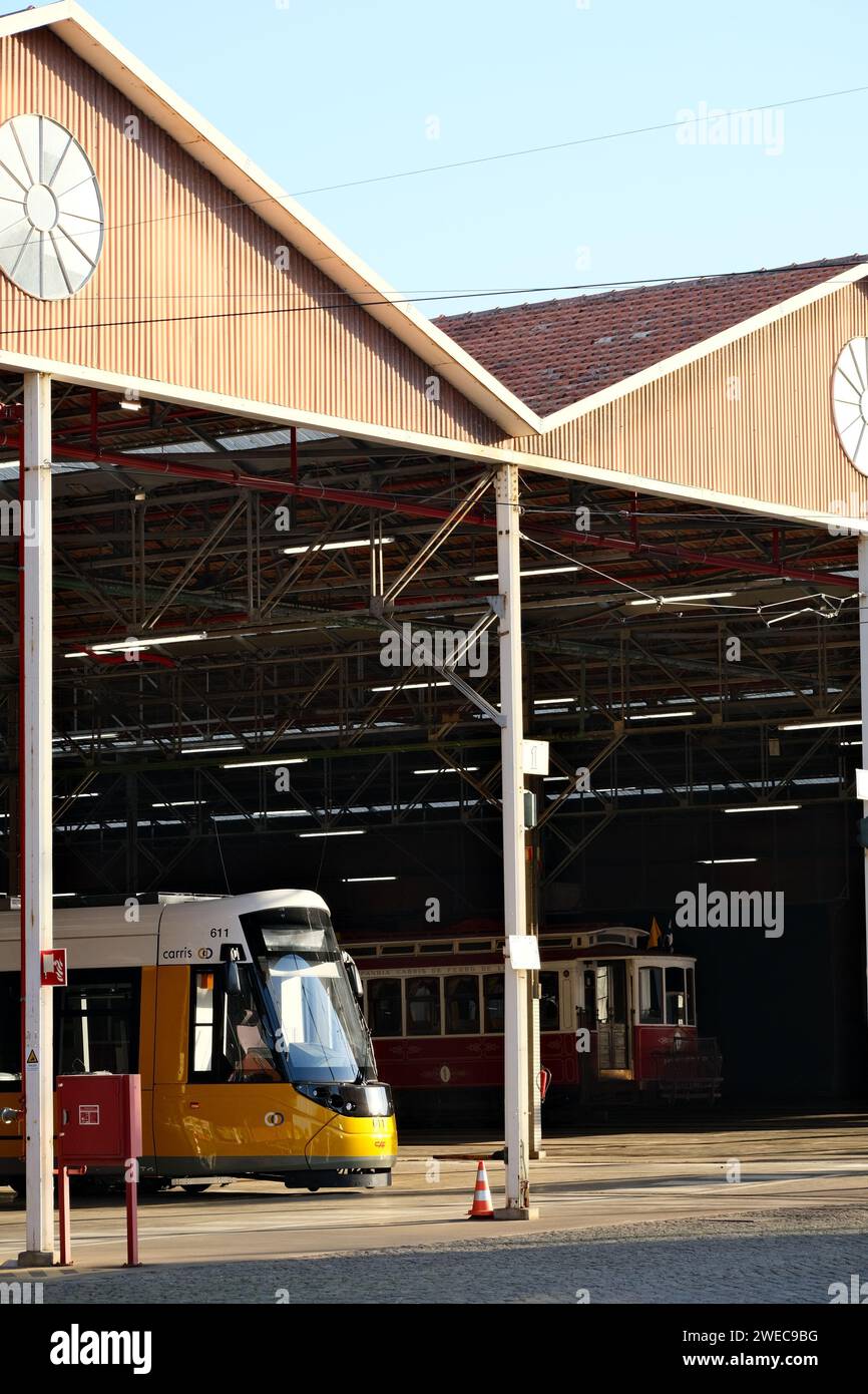 Rails & Whistles: A Journey Through Time. Explore the rhythmic charm of ...