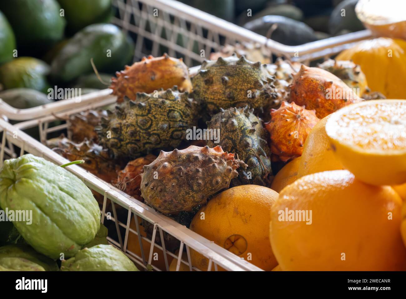 Kiwano tropical fruits, African horned cucumber, horned melon, spiked ...