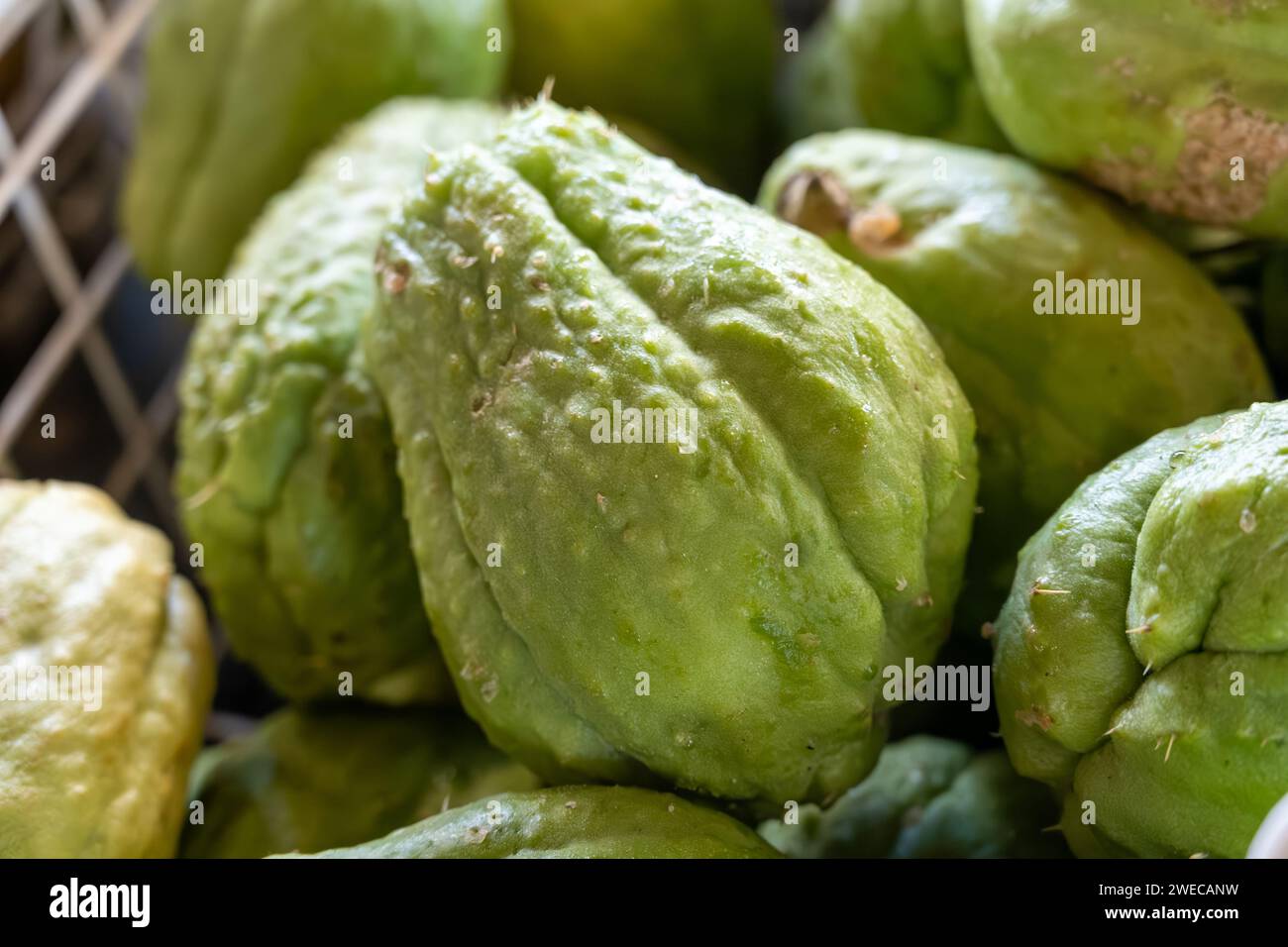 Green ripe Chayote Sechium edule fruit, mirliton and choko, gourd ...