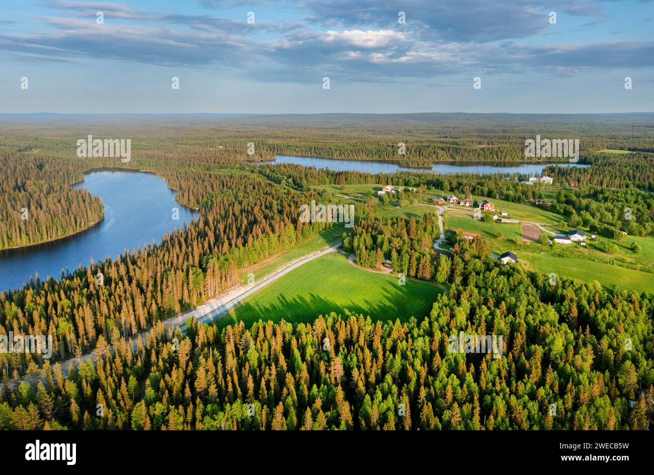 Aerial shot finnish spruce forest hi-res stock photography and images ...