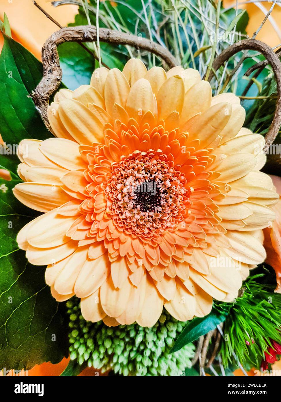 Bouquet of gerbera hi-res stock photography and images - Alamy