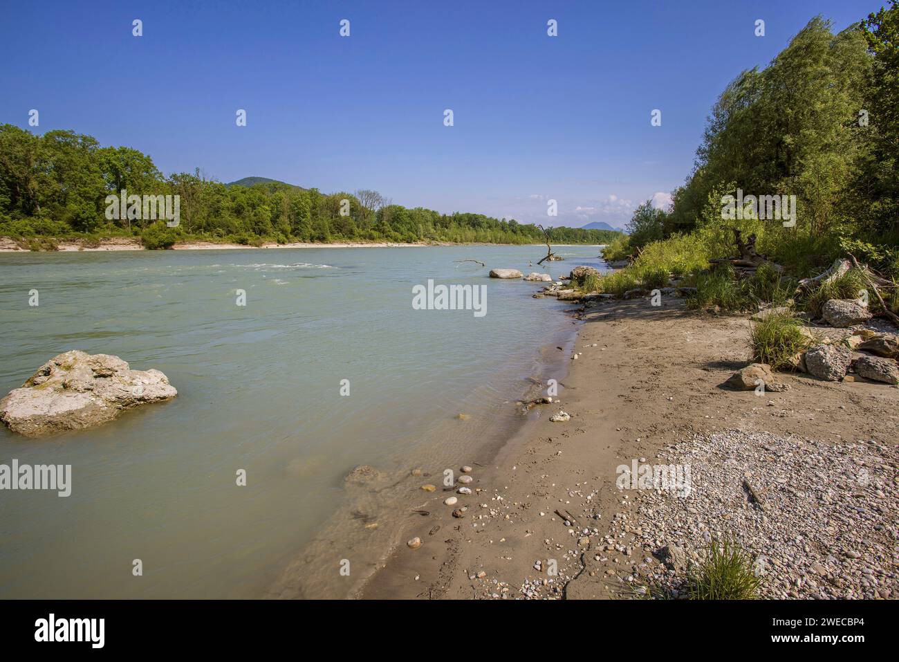 Salzach river near Laufen, Germany, Bavaria Stock Photo - Alamy