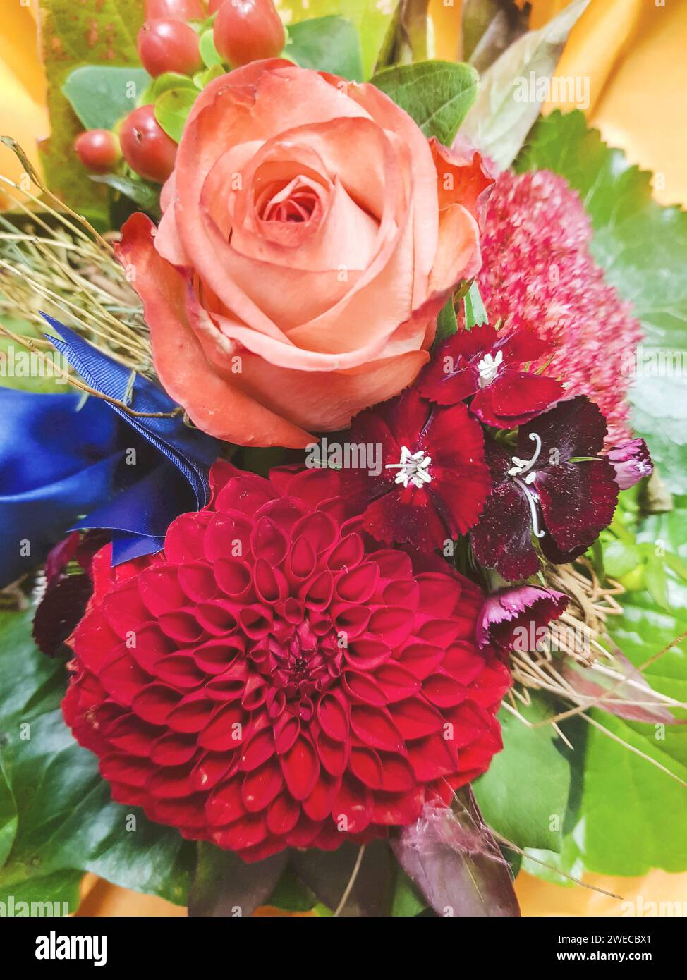 Salmon pinks hi-res stock photography and images - Alamy