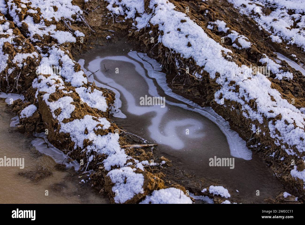 Idyllic frozen water in tractor tracks in a field with clods of earth ...