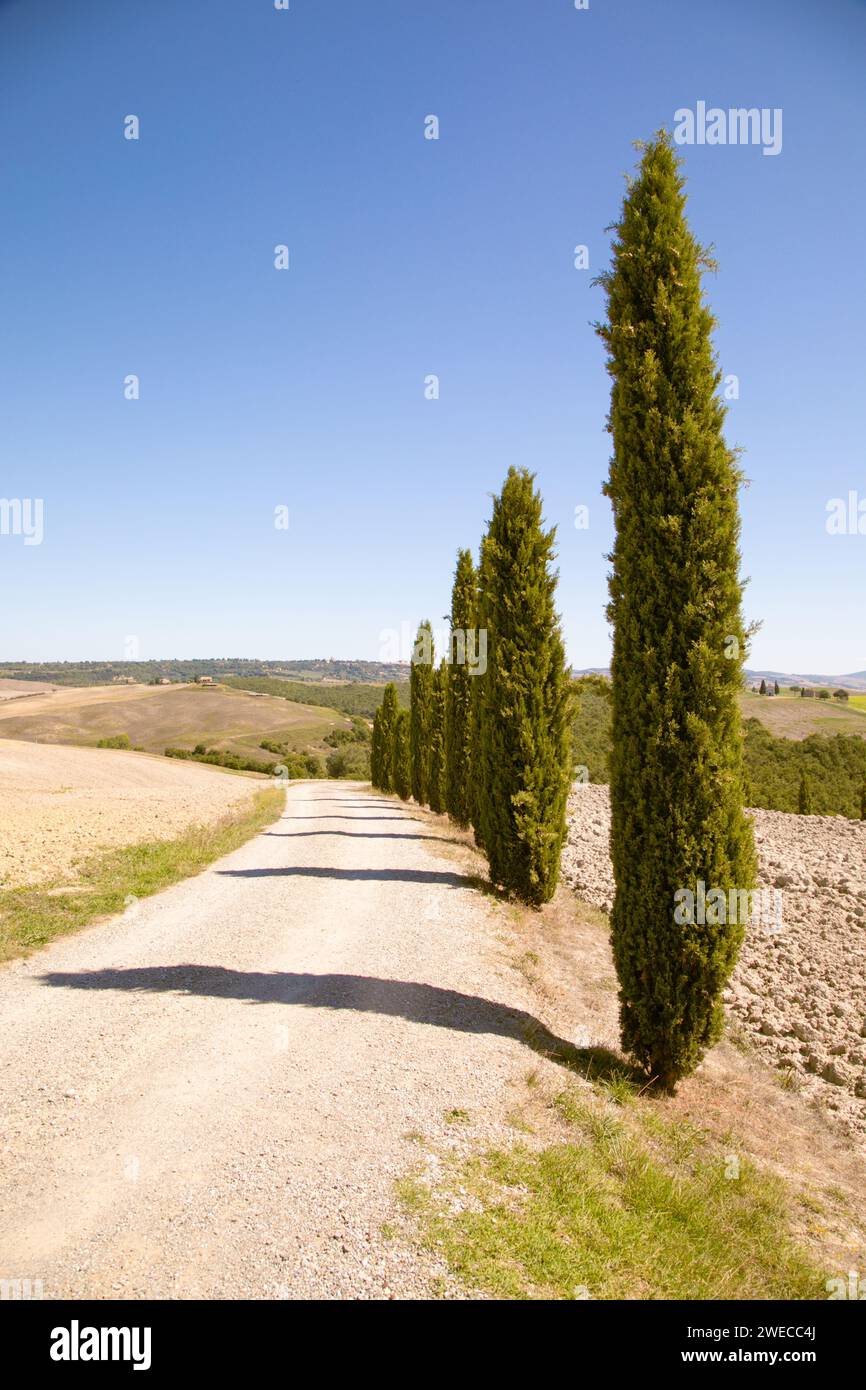 Beautiful Images of the Tuscan Countryside in Tuscany Italy Stock Photo ...
