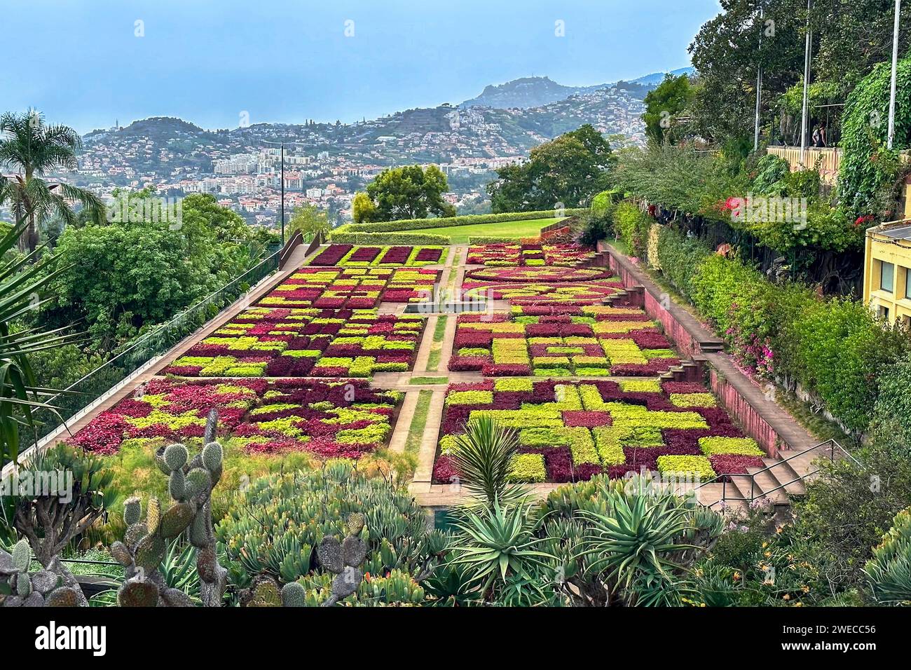 different coloured beds form patterns in the Funchal Botanical Garden ...