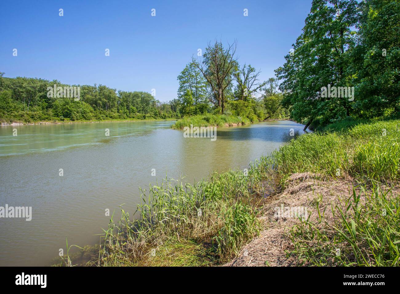 Mundung der sur in die salzach nordlich freilassing hi-res stock ...