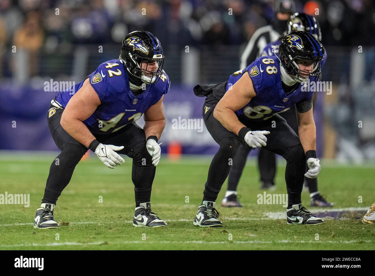 Baltimore Ravens fullback Patrick Ricard (42) and tight end Charlie ...