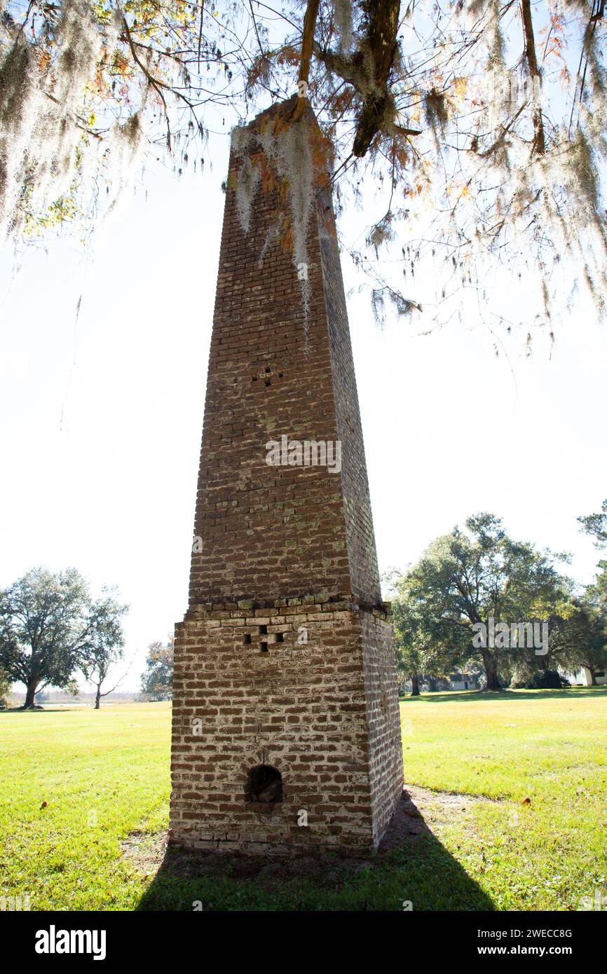 Beautiful Nature Landscape at a Plantation in South Carolina with Oak ...