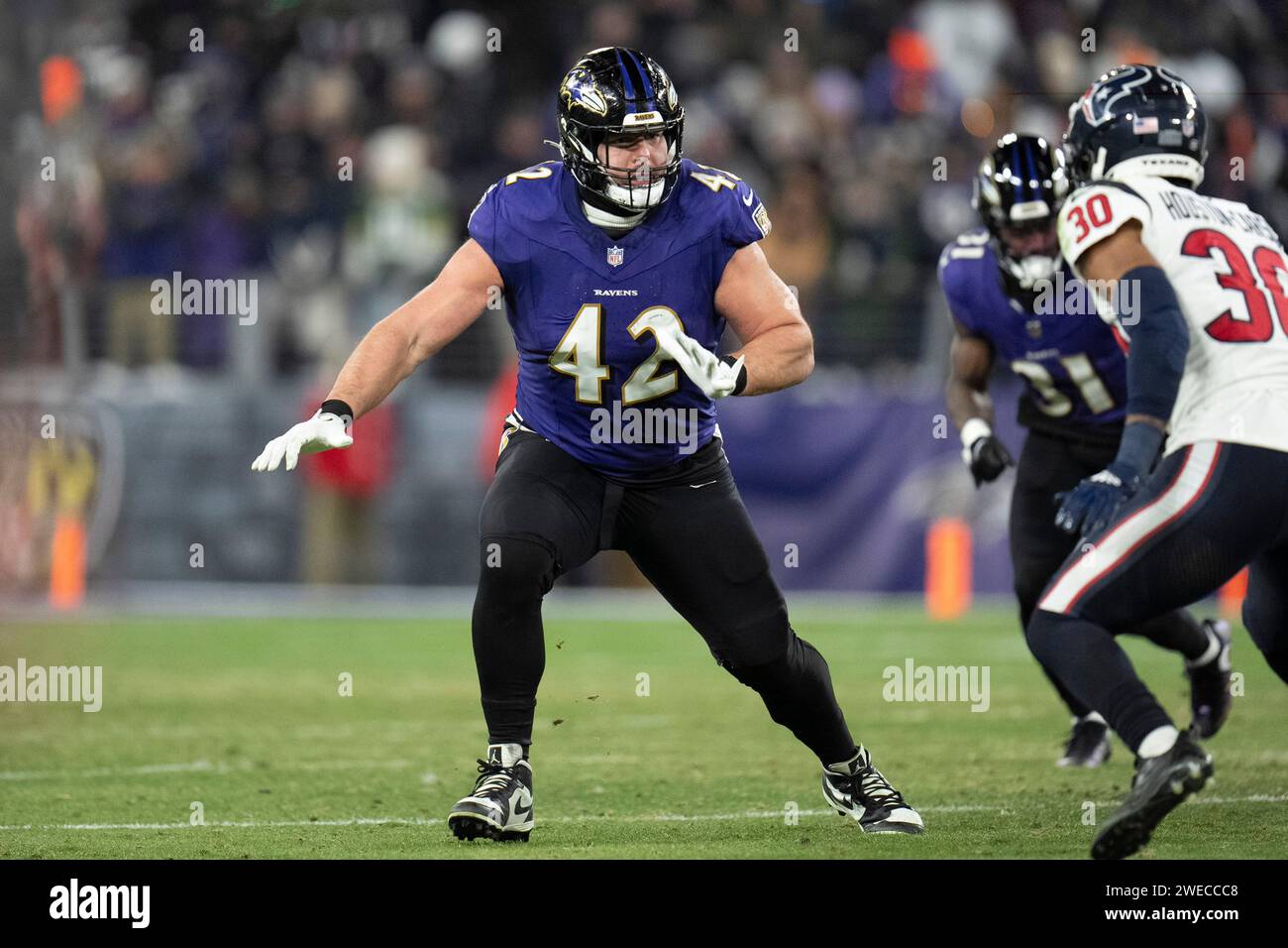 Baltimore Ravens fullback Patrick Ricard runs a route against the ...
