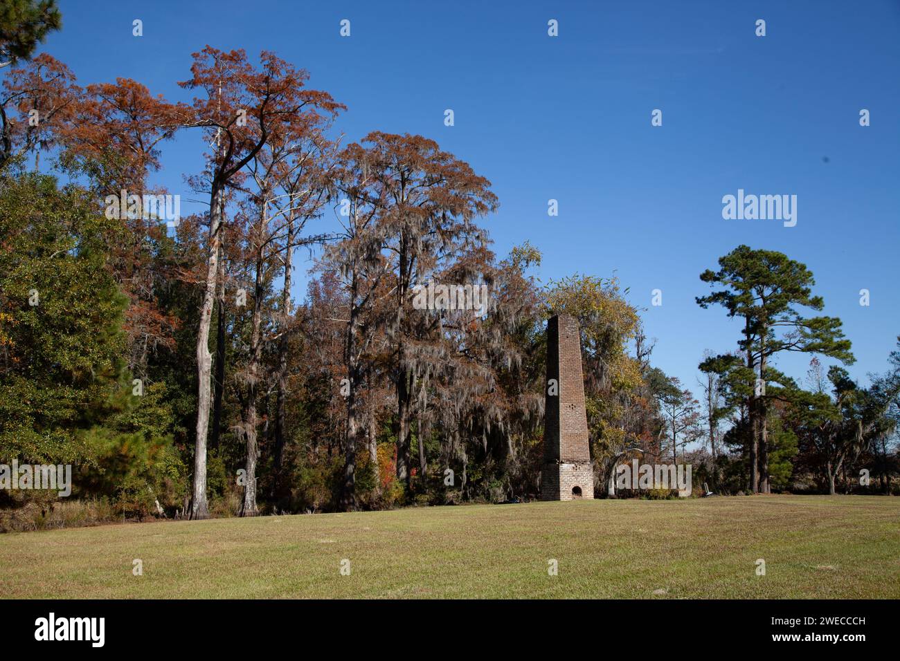 Beautiful Nature Landscape at a Plantation in South Carolina with Oak ...