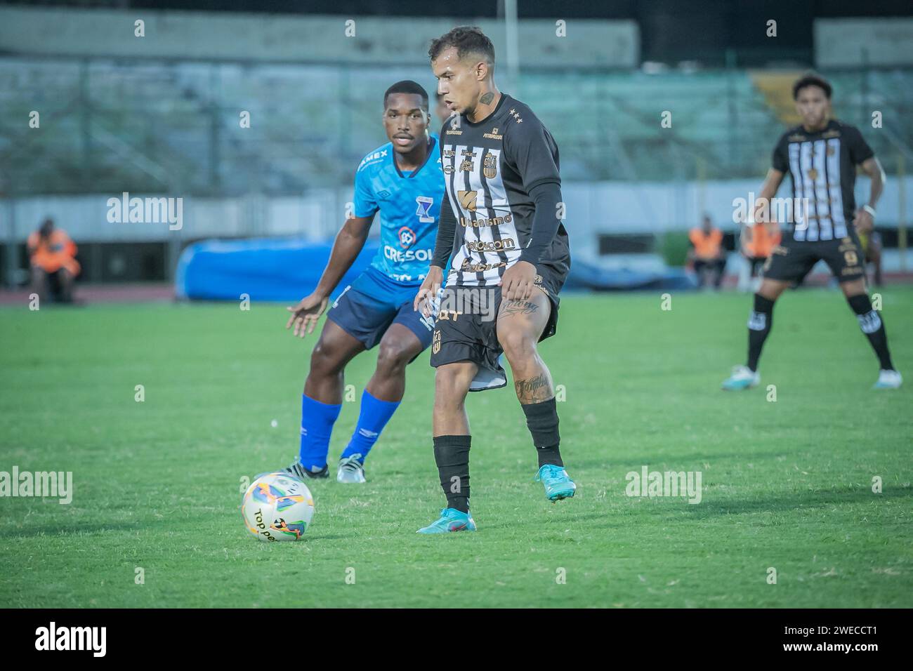 PR - MARINGA - 01/24/2024 - PARANAENSE 2024, GALO MARINGA (Photo by ...