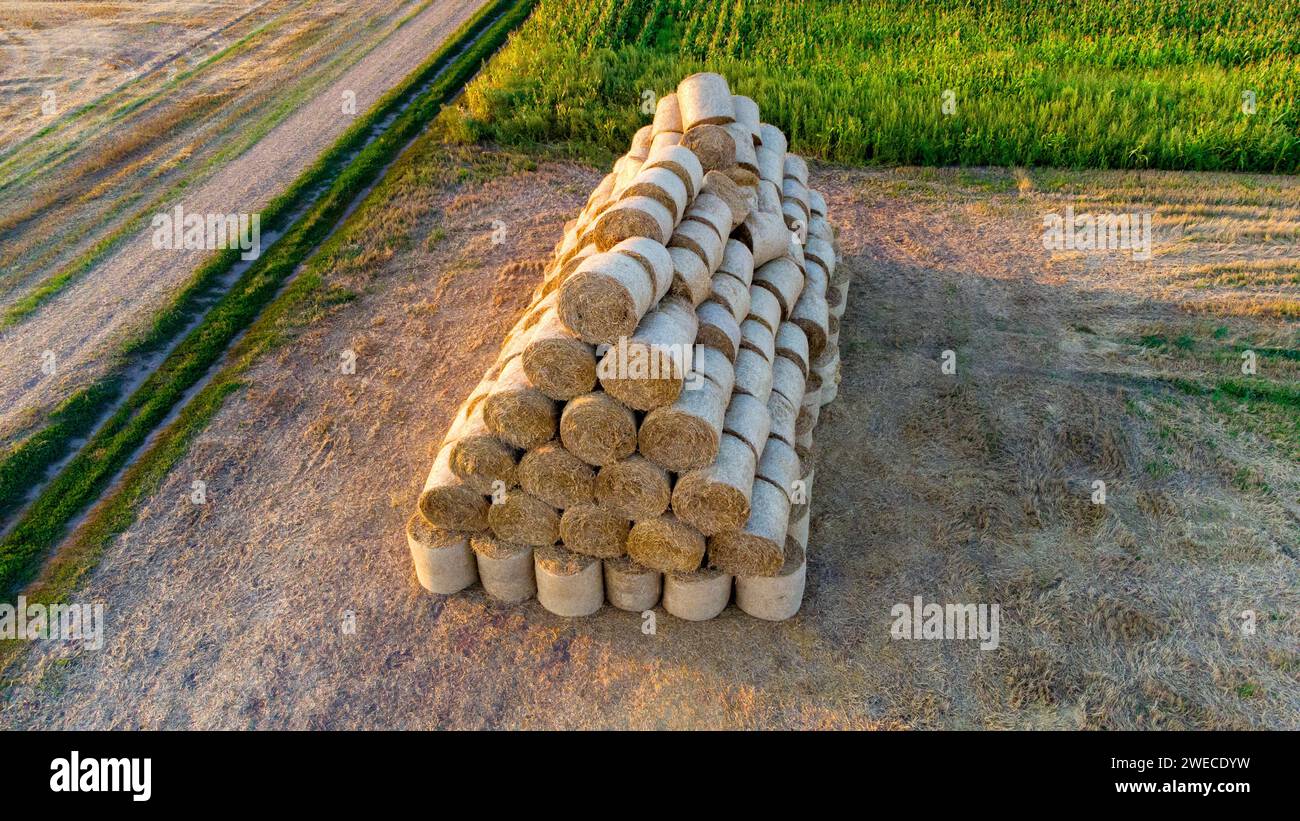 Many bales compressed dry hi-res stock photography and images - Alamy
