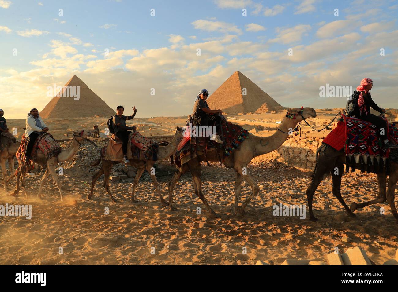 Giza, Egypt. 24th Jan, 2024. Tourists ride camels at the Giza Pyramids ...