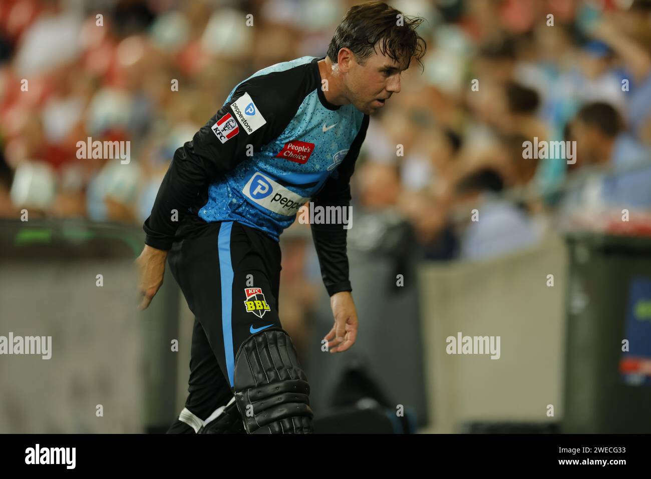 Gold Coast, Australia. 22nd Jan 2024. Harry Nielsen (Adelaide) caught ...