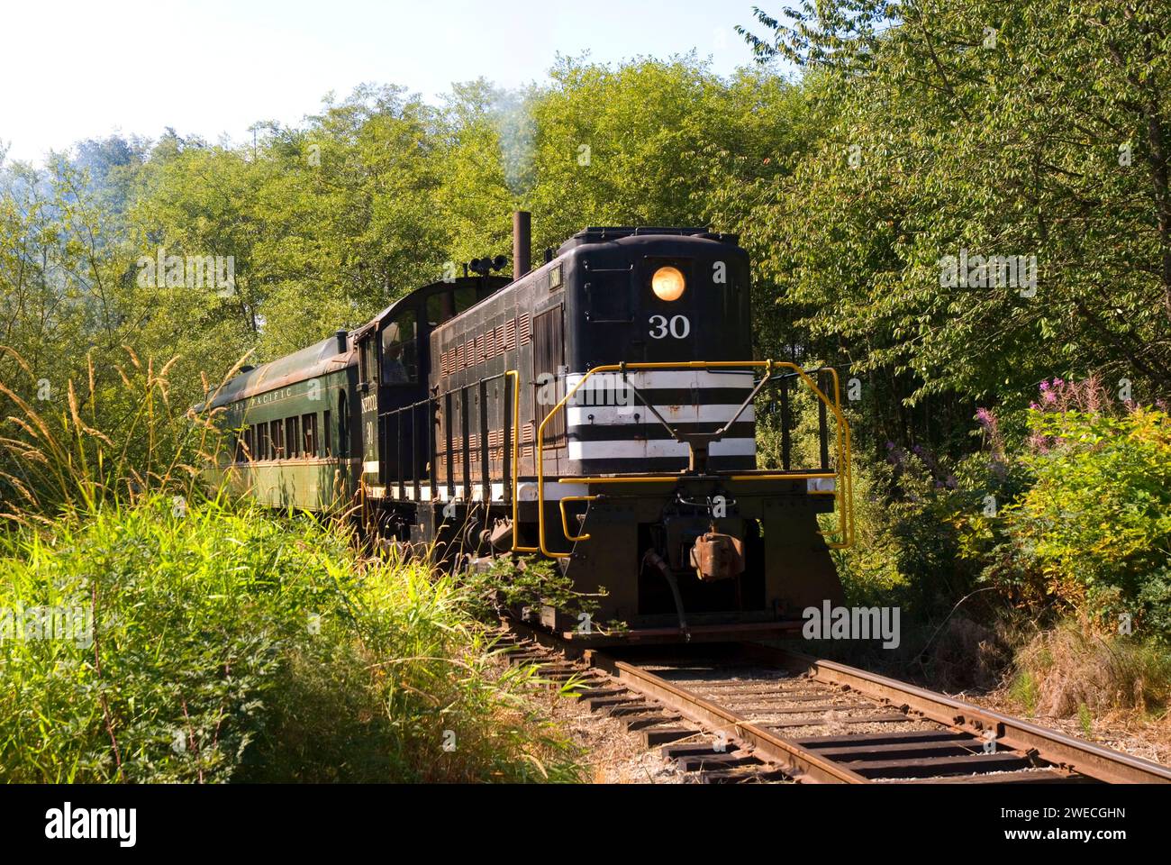 Tourist train, Lake Whatcom Railway, Wickersham, Washington Stock Photo ...