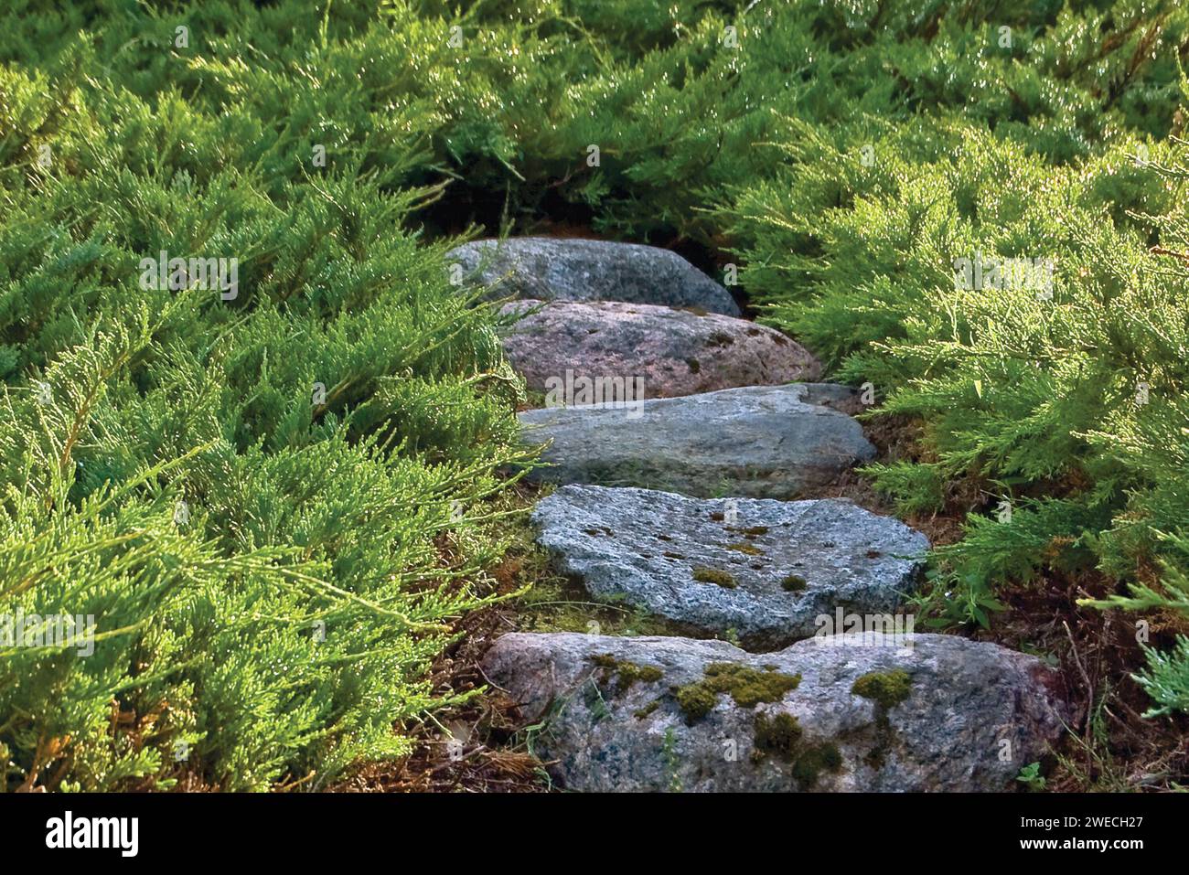 Stone stair pathway trail steps, grey and red colorful granite rock ...