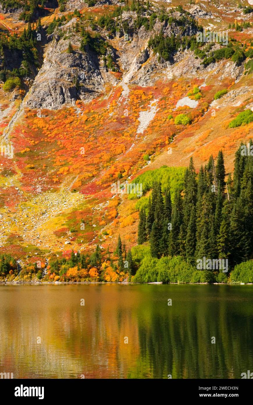 Lake Ann, Okanogan National Forest, Washington Stock Photo - Alamy