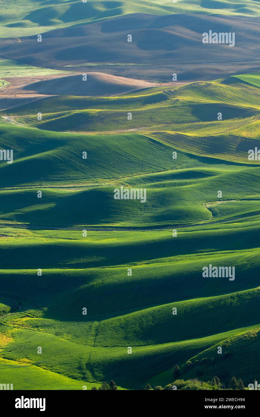 View from Steptoe Butte, Steptoe Butte State Park, Palouse Scenic Byway ...