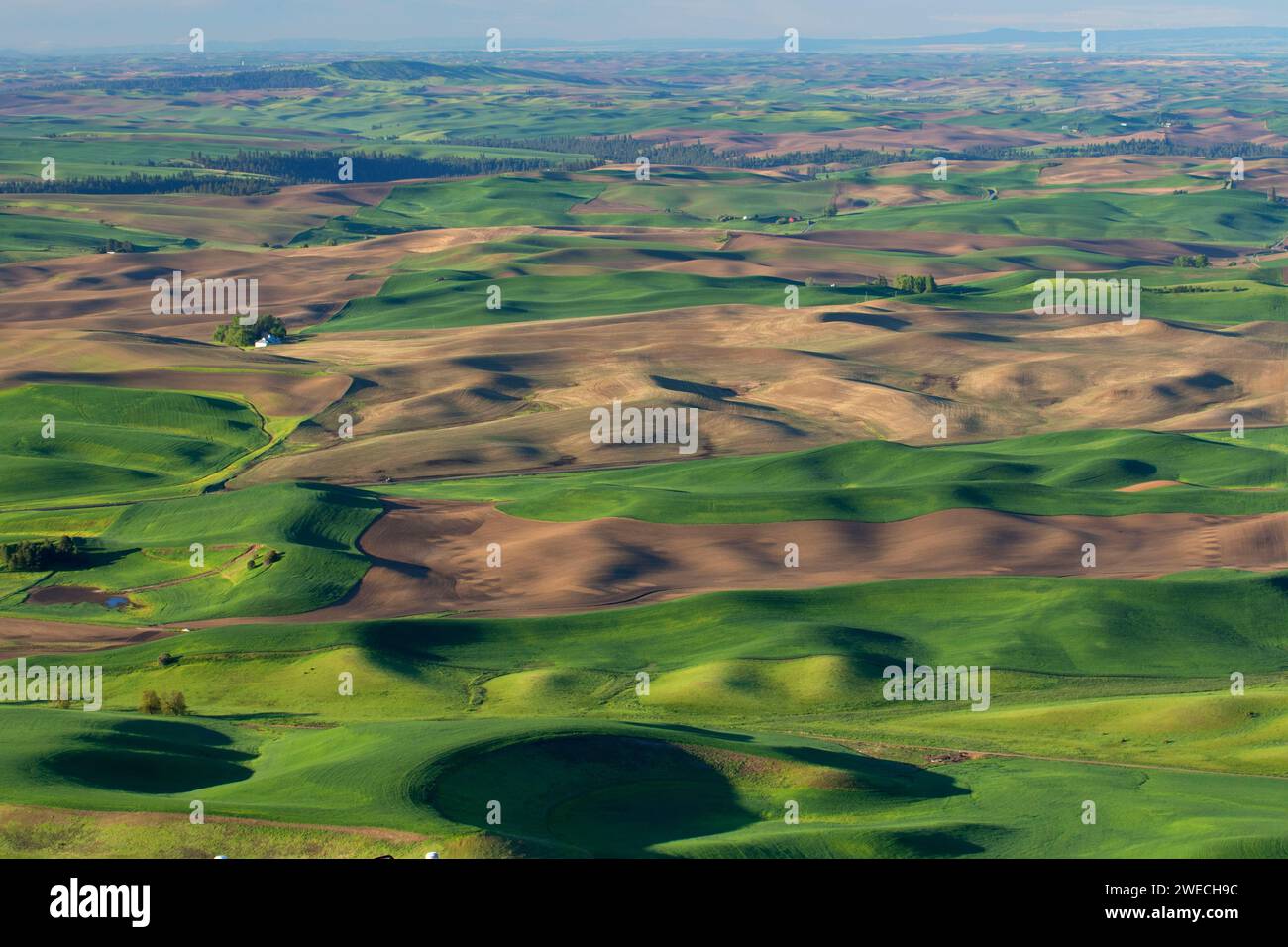 View from Steptoe Butte, Steptoe Butte State Park, Palouse Scenic Byway ...