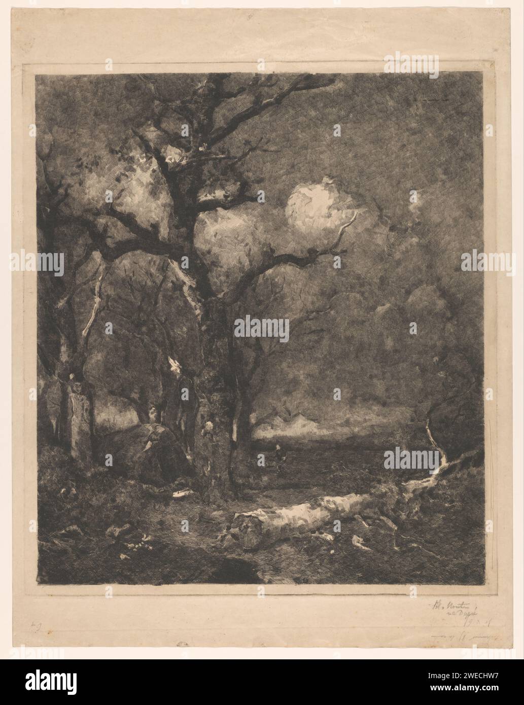 Autumn landscape with Boom, Barbara Elisabeth van Houten, 1872 - 1950 ...