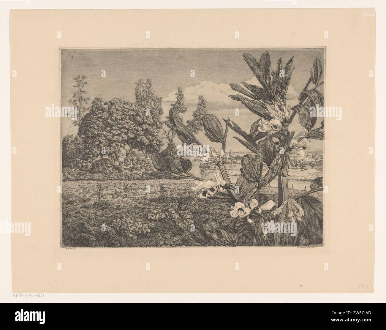 Sturdy paper hi-res stock photography and images - Alamy