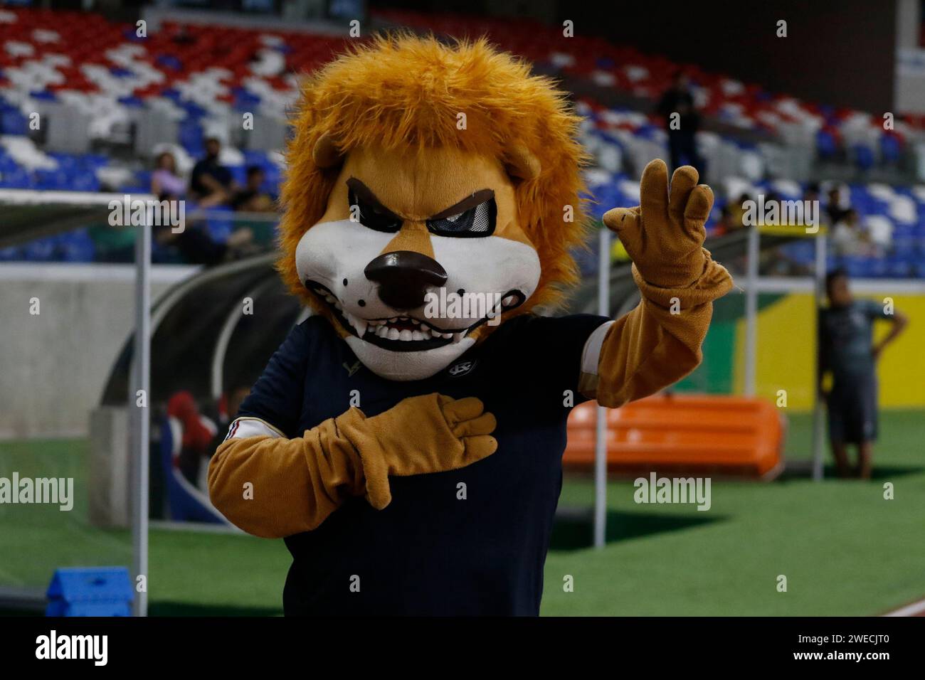 BELÉM, PA - 24.01.2024: CAMPEONATO PARAENSE CASTANHAL X REMO ...