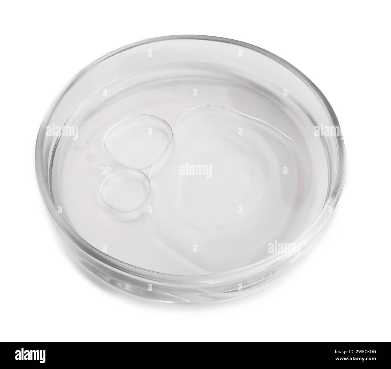 Petri dish with liquid sample isolated on white Stock Photo - Alamy
