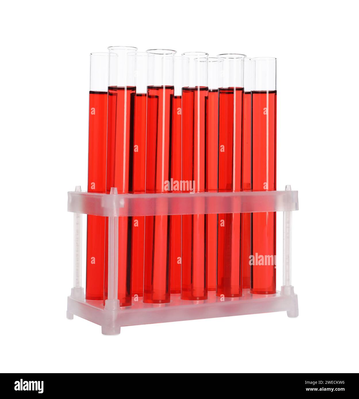 Many test tubes with red liquid in stand isolated on white Stock Photo ...