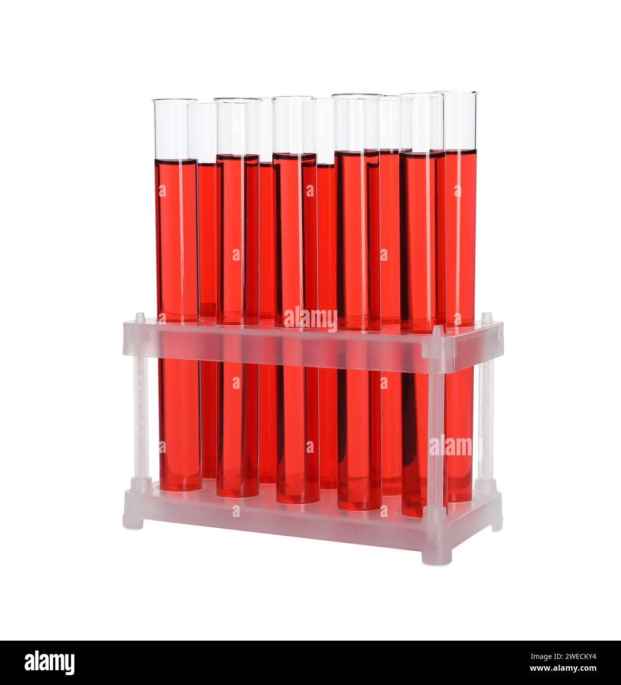 Many test tubes with red liquid in stand isolated on white Stock Photo ...