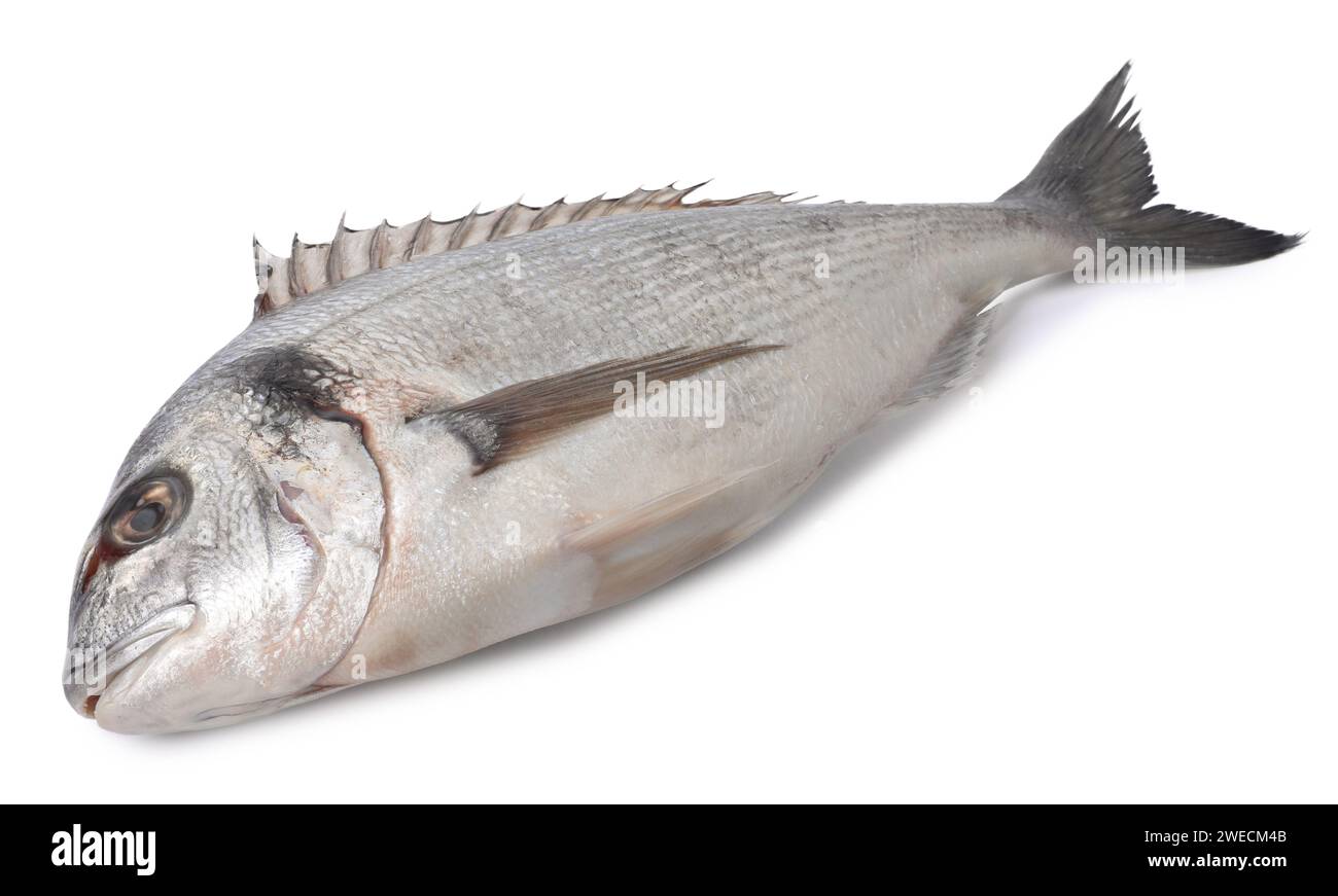 Fresh raw dorado fish isolated on white Stock Photo - Alamy