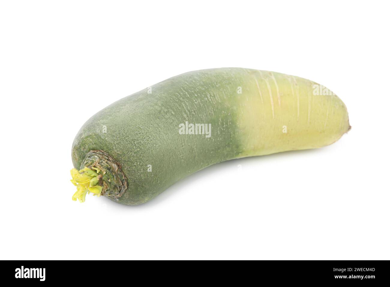 One daikon radish root hi-res stock photography and images - Alamy