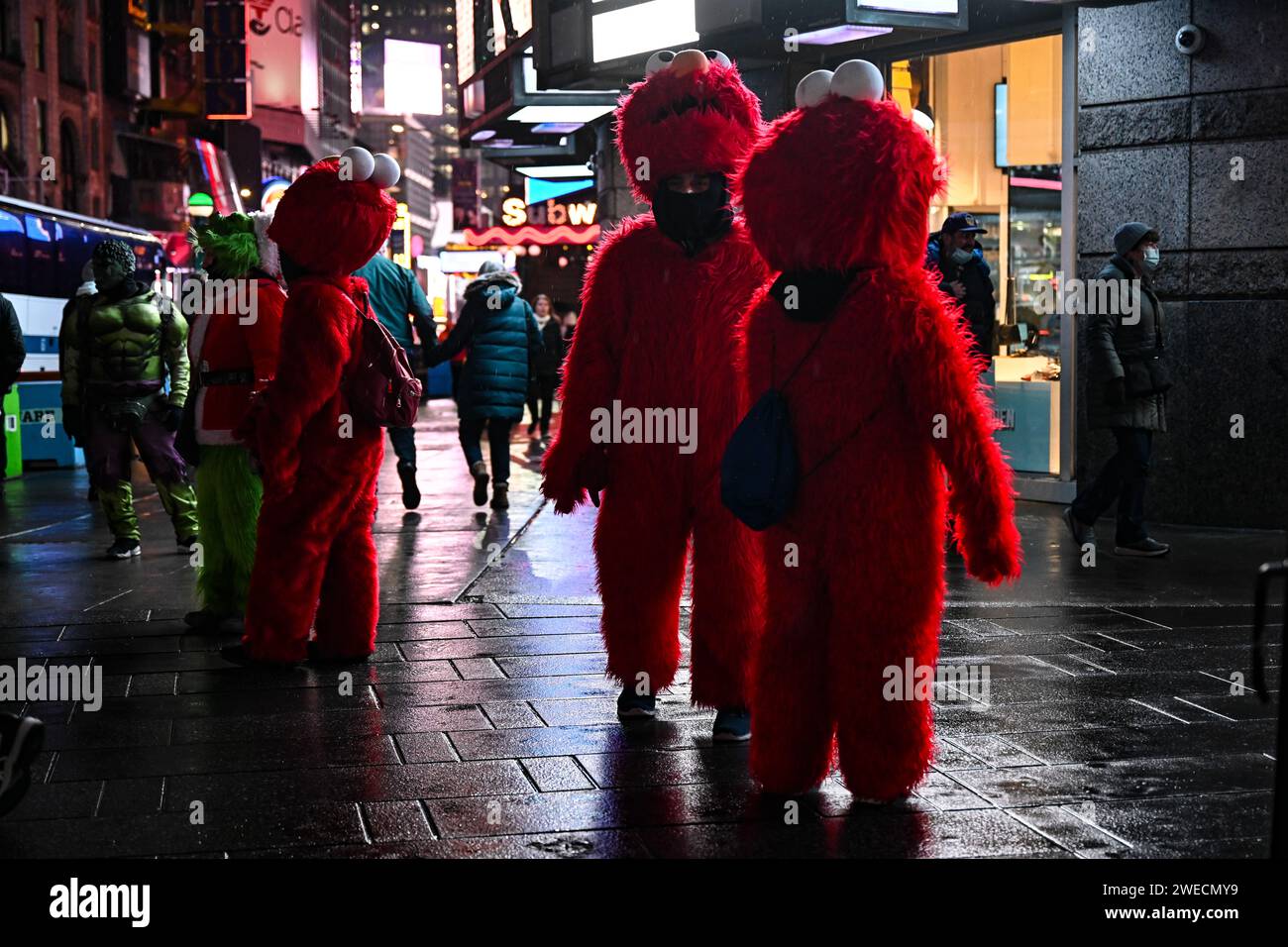 Costume performers dressed as Elmo walk in Times Square on January 24 ...