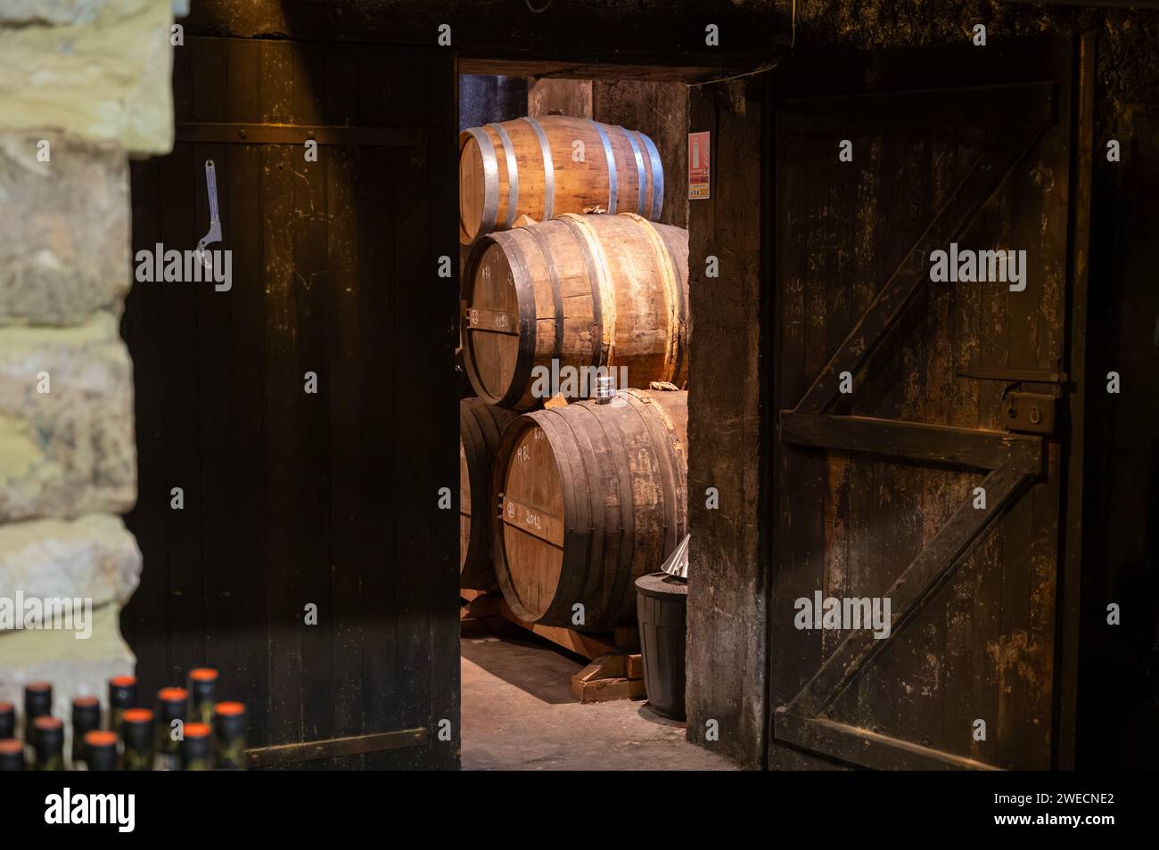 Aging process of cognac spirit in old dark French oak barrels in cellar ...