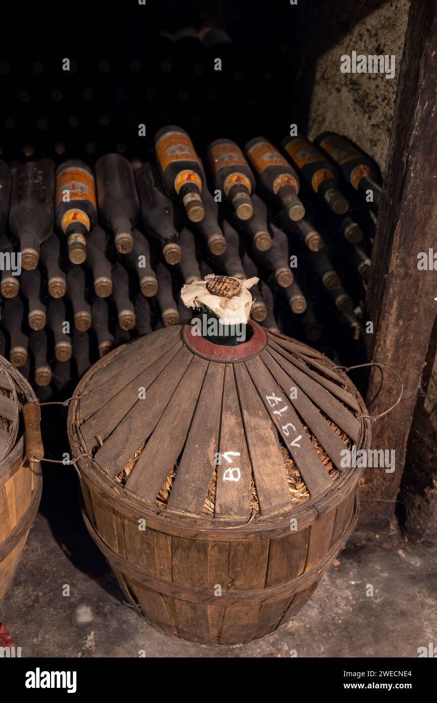 Aging process of cognac spirit in old dark French oak barrels in cellar ...