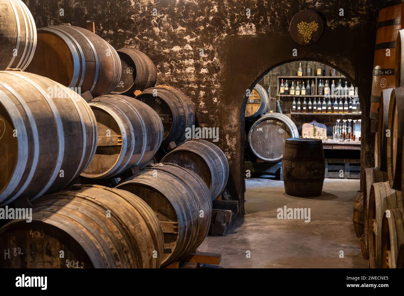Aging process of cognac spirit in old dark French oak barrels in cellar ...