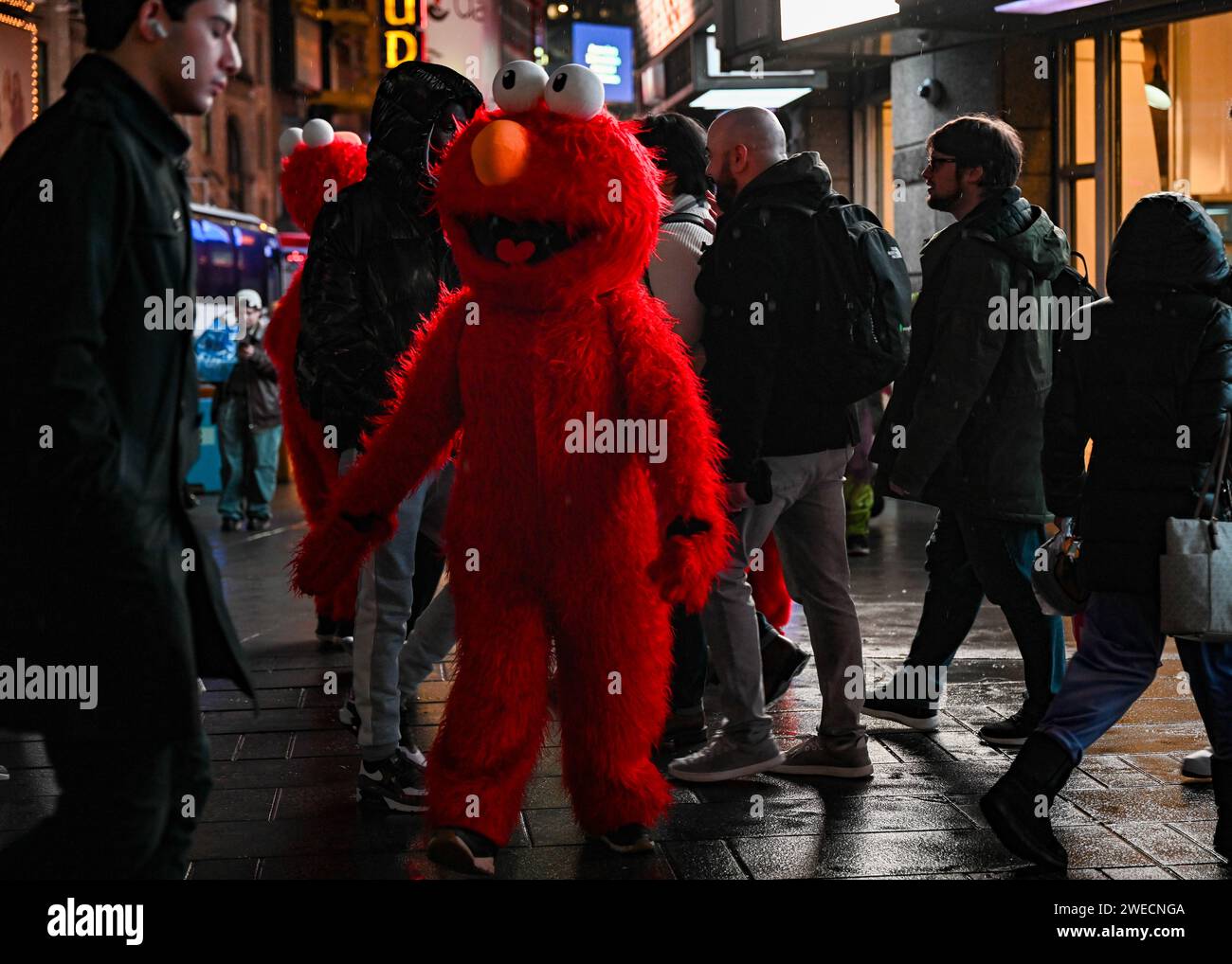 Costume performers dressed as Elmo walk in Times Square on January 24 ...