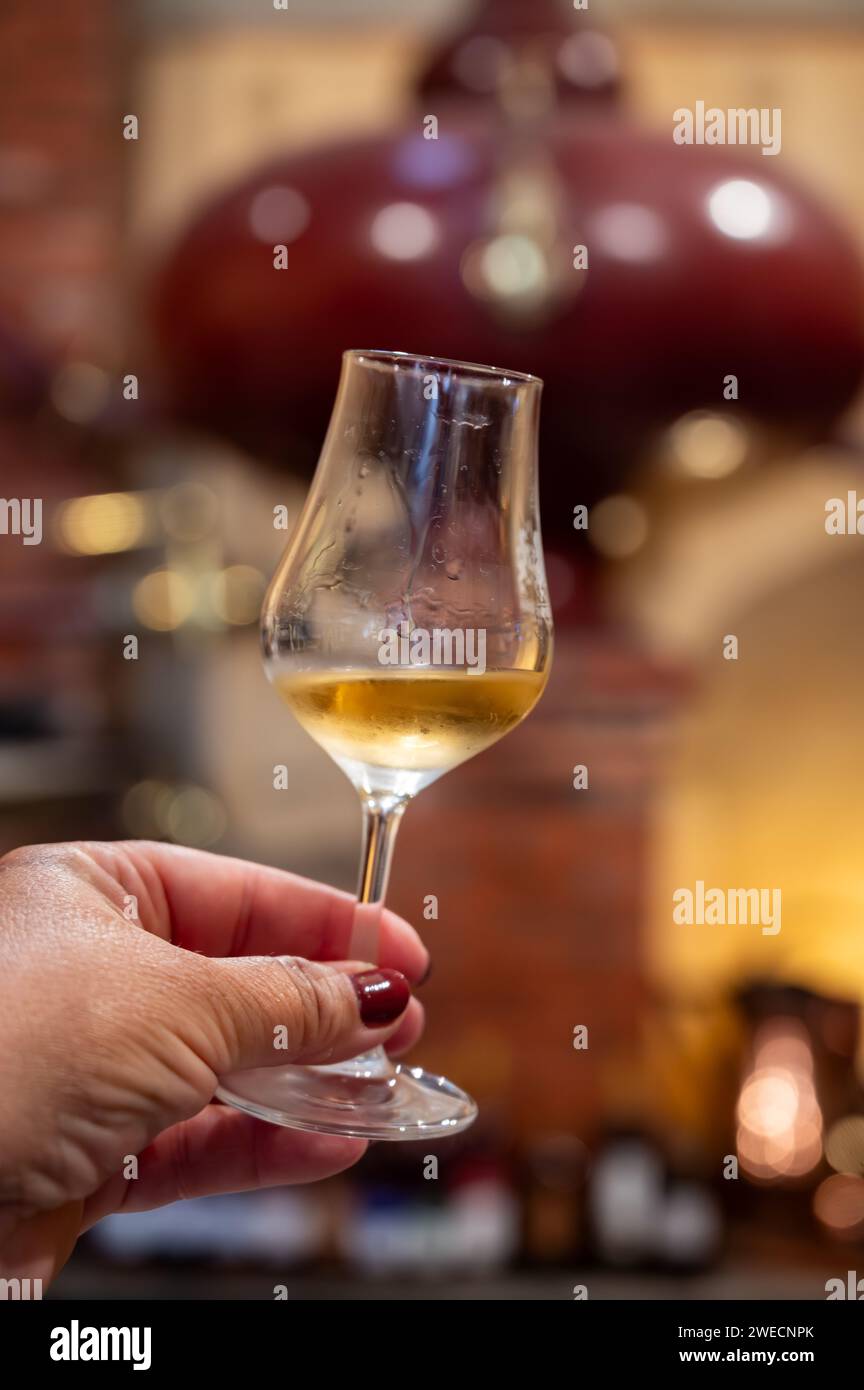 Tasting of cognac spirit aged in old dark French oak barrels in cellar ...