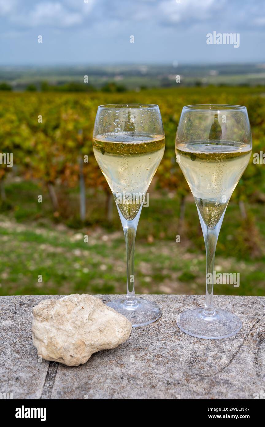 Tasting of grand cru sparkling white wine with bubbles champagne on ...