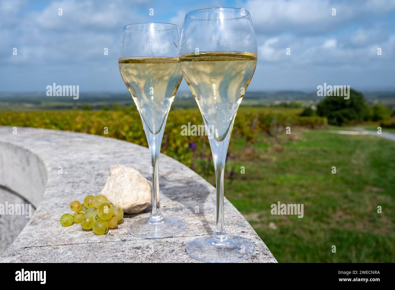 Tasting of grand cru sparkling white wine with bubbles champagne on ...