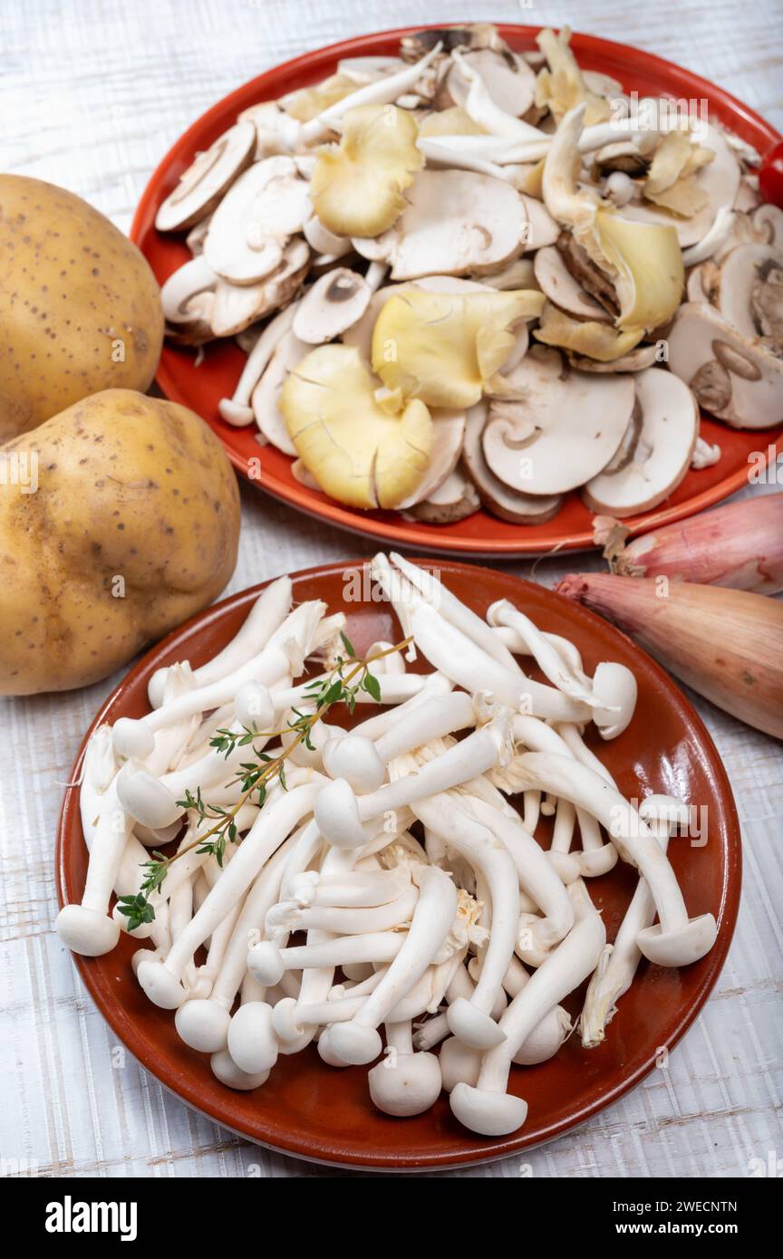 White shimeji edible mushrooms native to East Asia, buna-shimeji is ...
