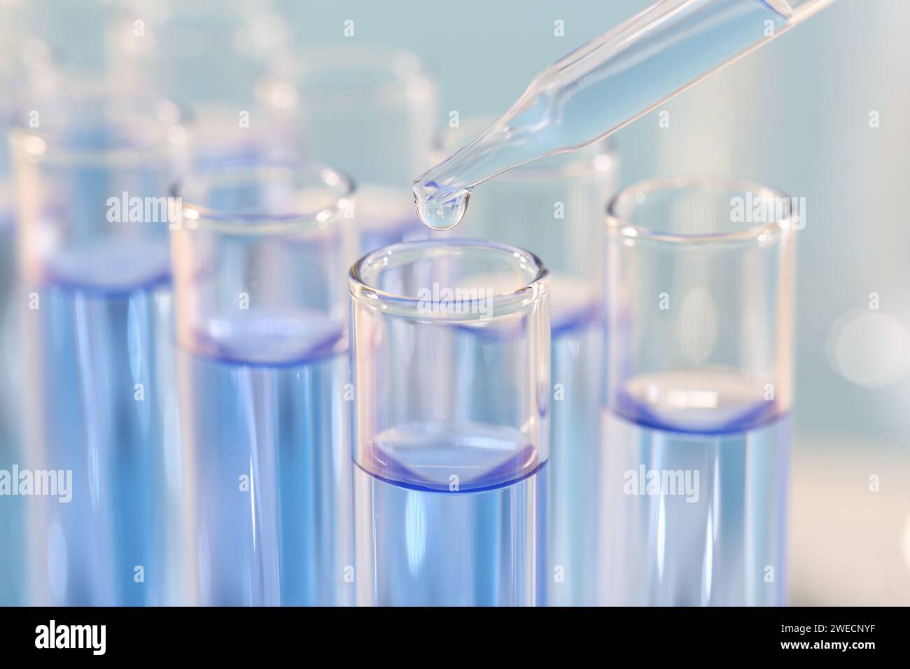Laboratory analysis. Dripping light blue liquid from pipette into glass ...