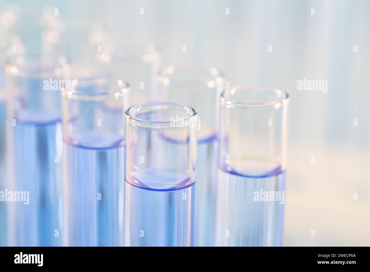 Laboratory analysis. Many glass test tubes with light blue liquid on ...