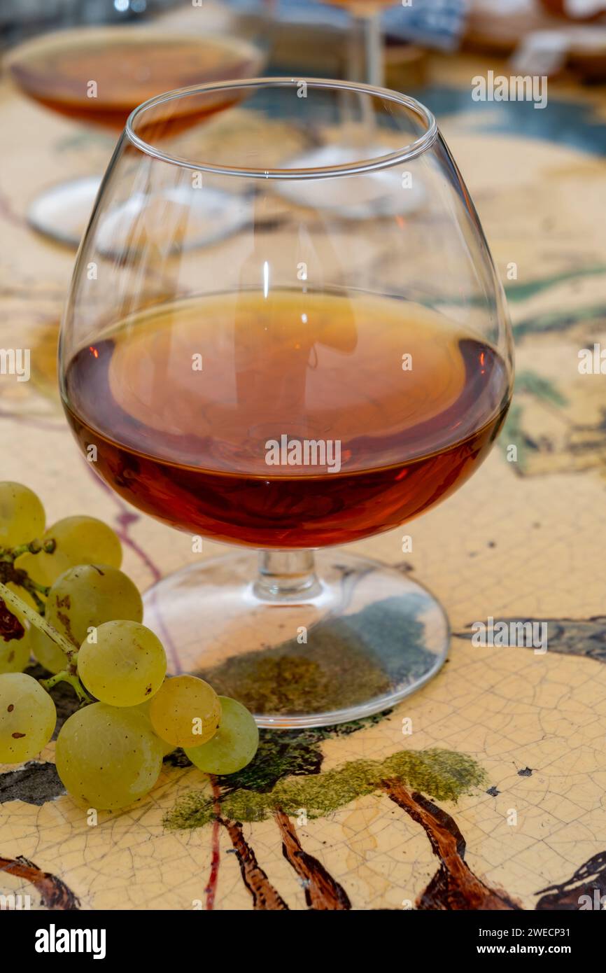 Cognac region tasting france hi-res stock photography and images - Alamy
